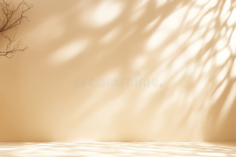 Light Beige Studio Background with Blurred Shadow from Tree Branches on ...