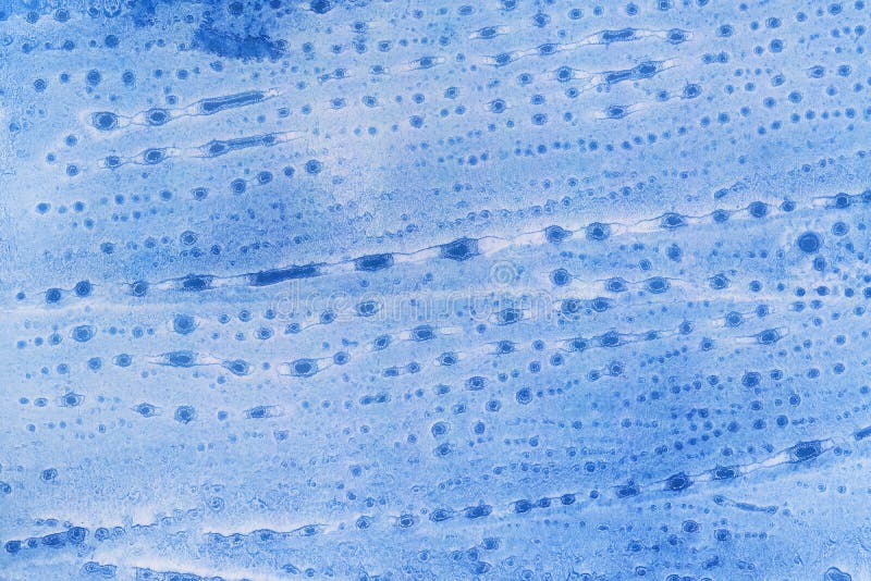 Light Blue Abstract Watercolor Background. Colorful Dots and Drops ...