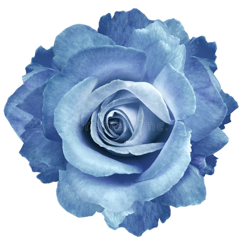 Light Blue Background with Clipping Path. Closeup. for Design Stock ...