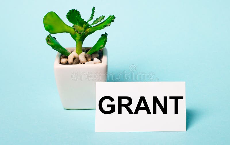 On a Light Blue Background - a Potted Plant and a White Card with the ...