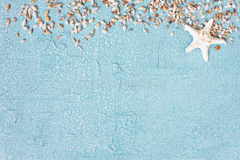 Light Blue Background with Seashells and Starfishes Stock Photo - Image ...