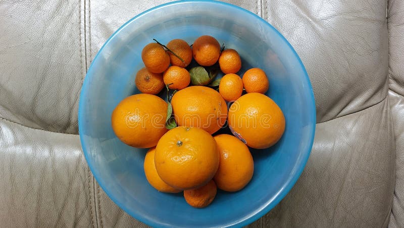 A Light Blue Basin Filled with Oranges with 2 Types of Sizes, Large and ...