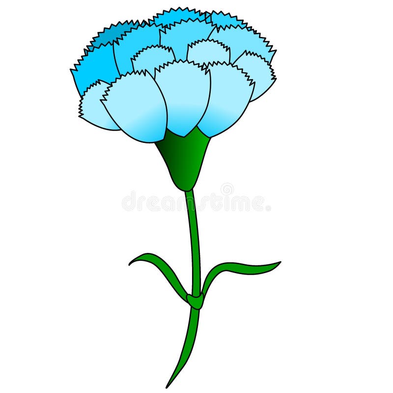 Light Blue Carnation Flower Design Stock Photo - Illustration of ...