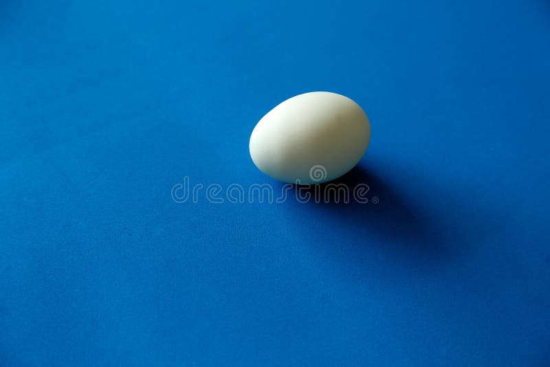 Light Blue Egg on Blue Surface Stock Photo - Image of bark, food: 215236318