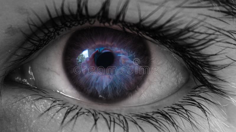 Light Blue Eye stock image. Image of nice, closeup, iris - 118054423