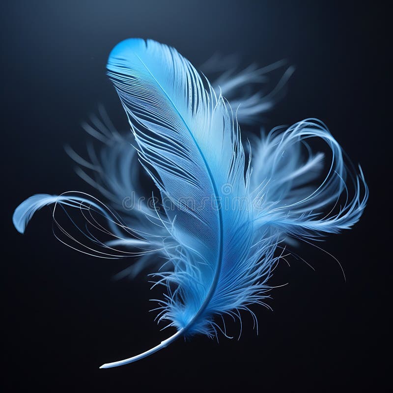 Light Blue Feather, Ethereal, Delicate Floating Black Background ...