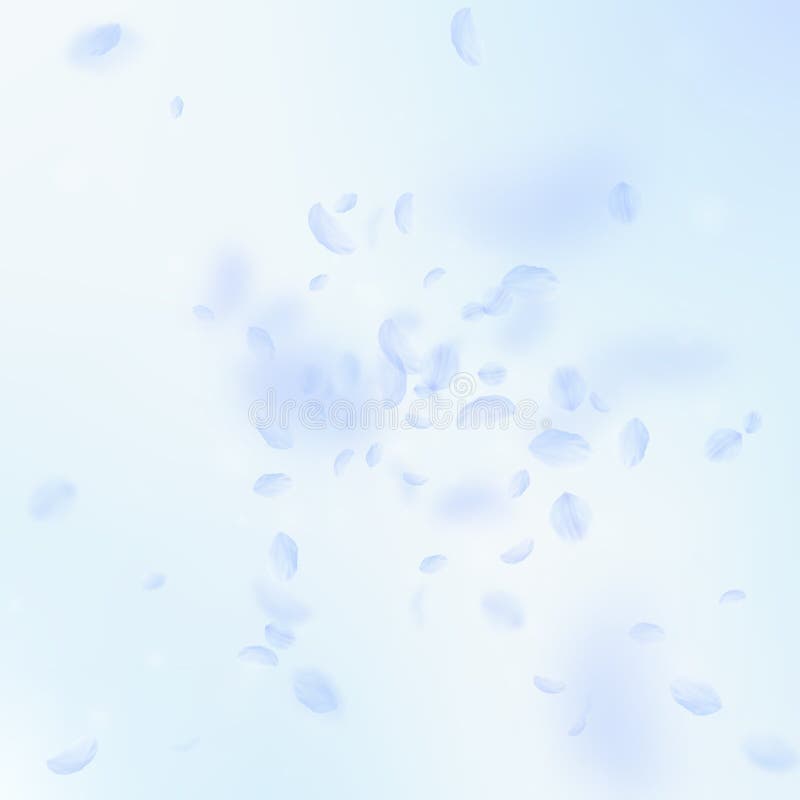 Light Blue Flower Petals Falling Down. Impressive Stock Vector ...