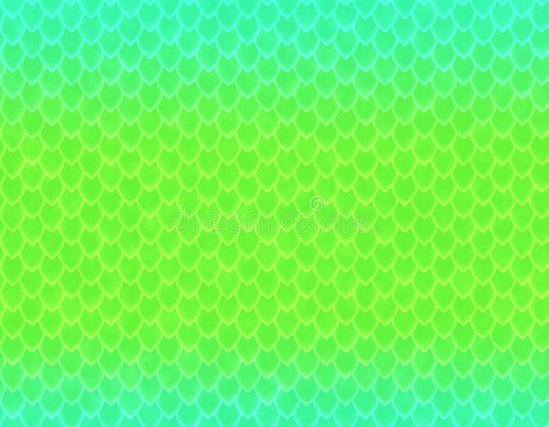 Green Snake Skin Pattern Stock Illustrations – 5,339 Green Snake Skin ...
