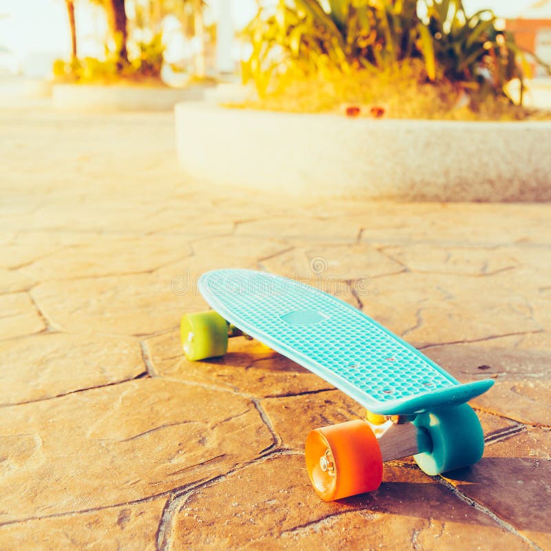 Light Blue Longboard Penny Board with Multicolored Wheels Ready Stock ...