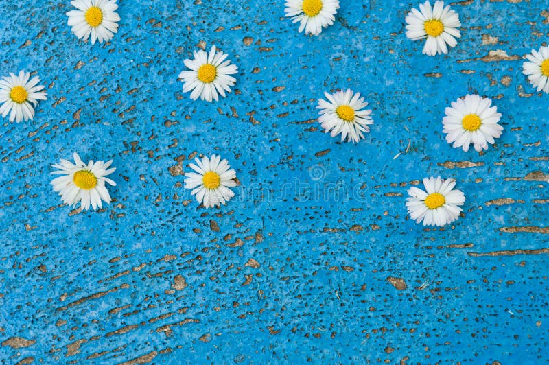Light Blue Old Textured Background with Daisy Flowers Turquoise Stock ...