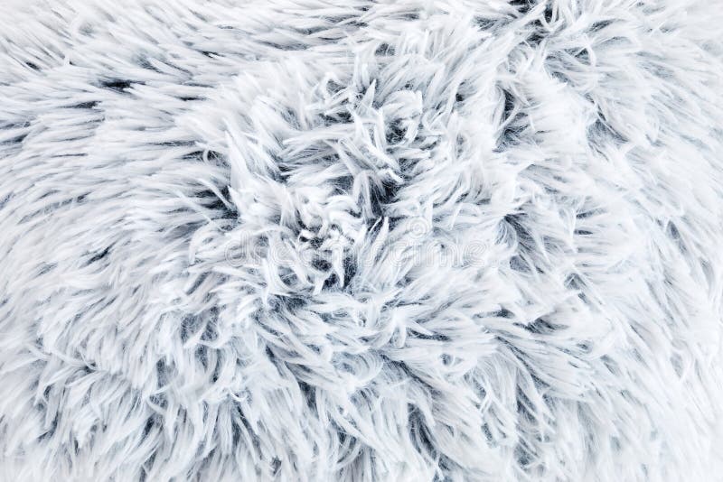 1,539 Light Blue Fur Texture Stock Photos - Free & Royalty-Free Stock ...