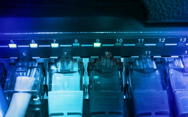 Light Blue Patch Cord Internet Cables Stock Photo - Image of fiber ...