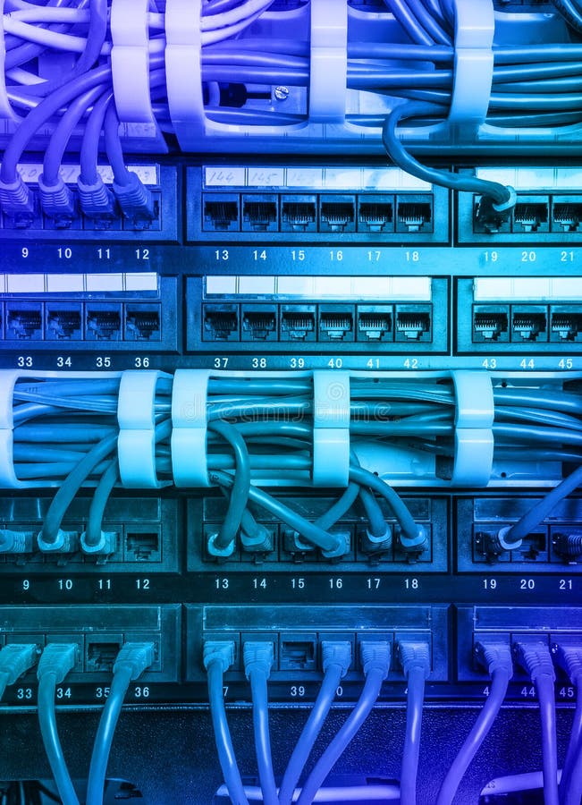 Light Blue Patch Cord Internet Cables Stock Photo - Image of fiber ...