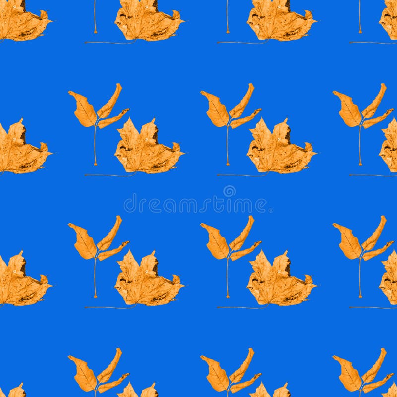 Light Blue Seamless Background with Dry Ash Leaves Stock Image - Image ...