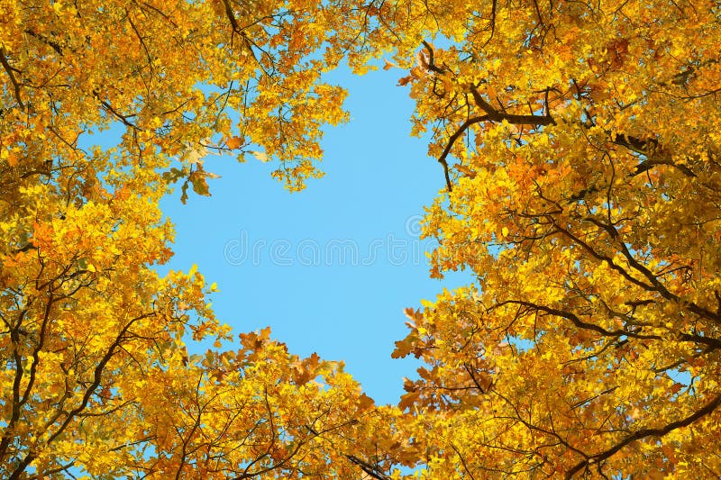 Light Blue Sky Visible through Heart Shaped Gap Formed of Autumn Trees ...
