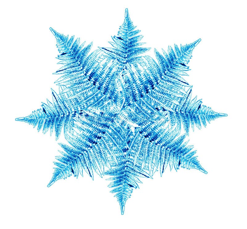 Snowflake Color Eight Stock Illustrations – 99 Snowflake Color Eight ...
