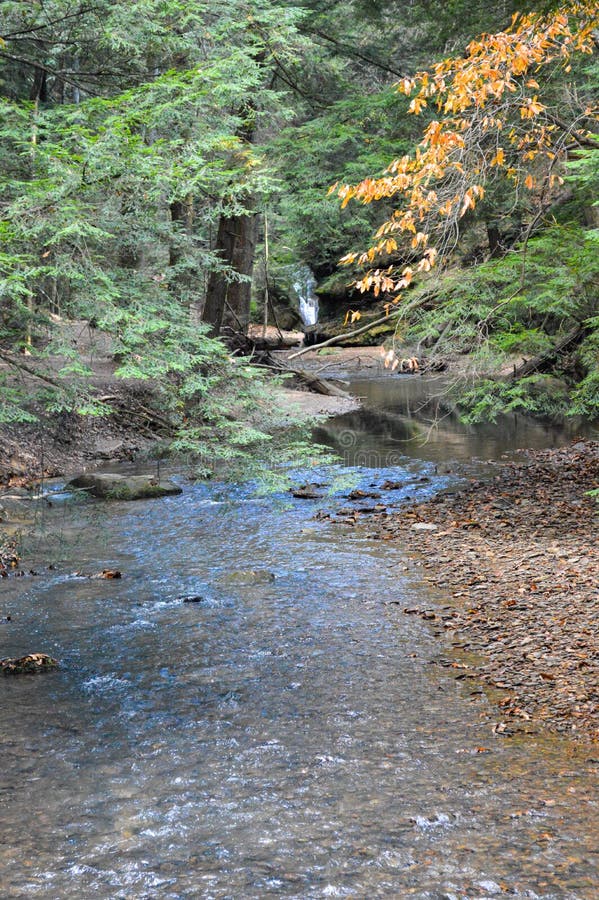 Light Blue Stream of Water Flowing through a Forest Stock Image - Image ...