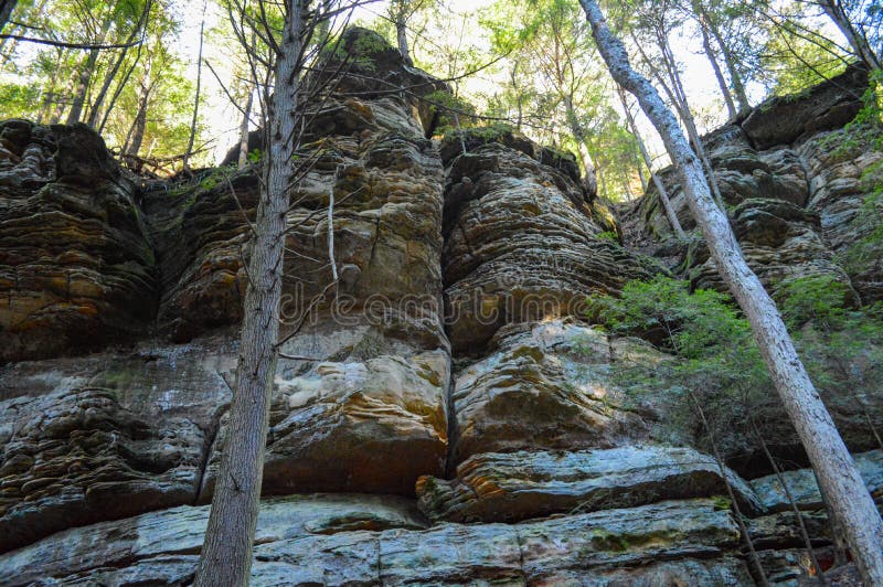 Light Blue Stream of Water Flowing through a Forest Stock Photo - Image ...