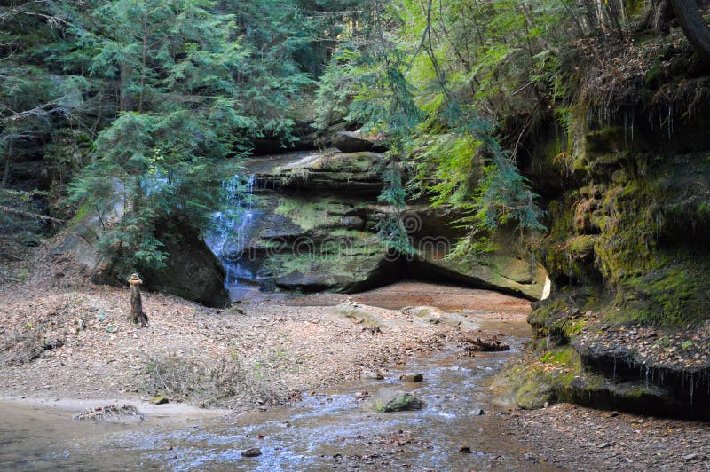 Light Blue Stream of Water Flowing through a Forest Stock Photo - Image ...