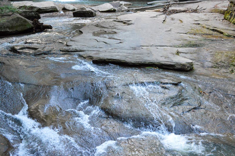 Light Blue Stream of Water Flowing through a Forest Stock Photo - Image ...