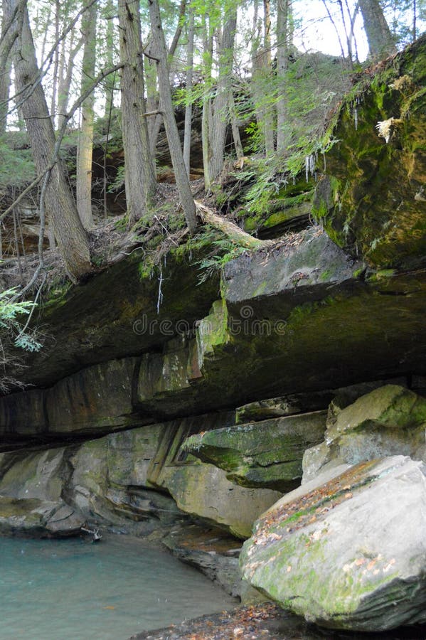 Light Blue Stream of Water Flowing through a Forest Stock Image - Image ...