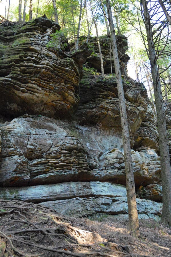 Light Blue Stream of Water Flowing through a Forest Stock Photo - Image ...