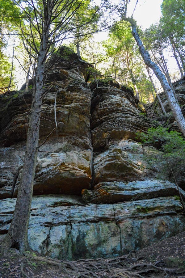 Light Blue Stream of Water Flowing through a Forest Stock Photo - Image ...