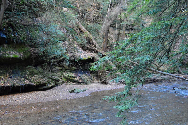 Light Blue Stream of Water Flowing through a Forest Stock Photo - Image ...