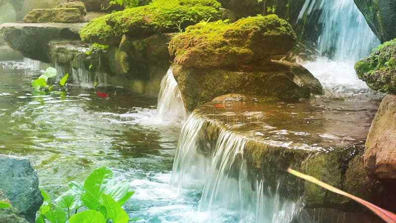 Light Blue Waterfall with a Strong Current. among the Mosses and Plants ...