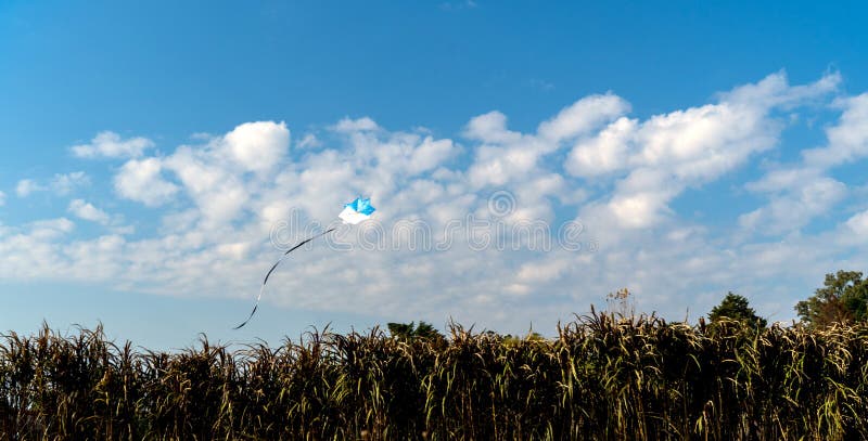A Light Blue and White Kite Flying Against a Blue Sky Stock Photo ...