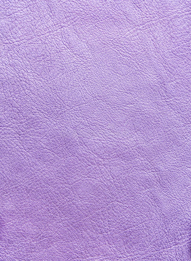 Purple skin texture. stock image. Image of luggage, hairless - 121820995
