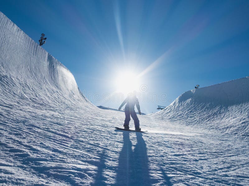 Blinding Light Of The Radiant Sunlight In The Lush Crown Of The Oak ...