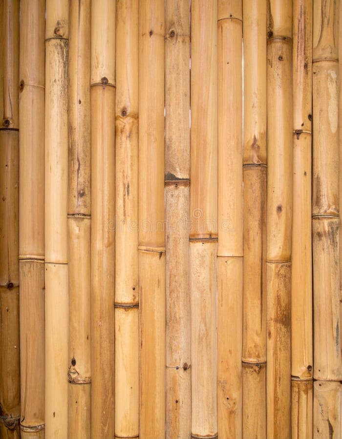 Light Brown Bamboo Wall Texture Background Stock Illustration ...