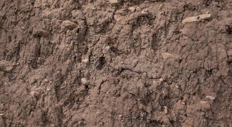 Light Brown Clay Soil Texture Stock Image - Image of texture, rough ...
