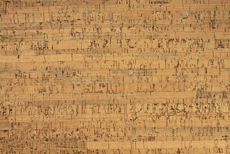 Light Brown Cork Wood Panel - Background Stock Image - Image of ...