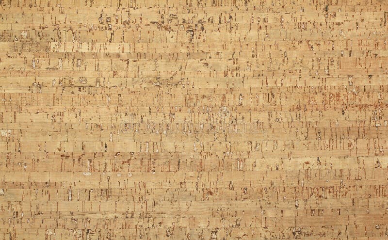 Light Brown Cork Wood Panel - Background Stock Photo - Image of flat ...