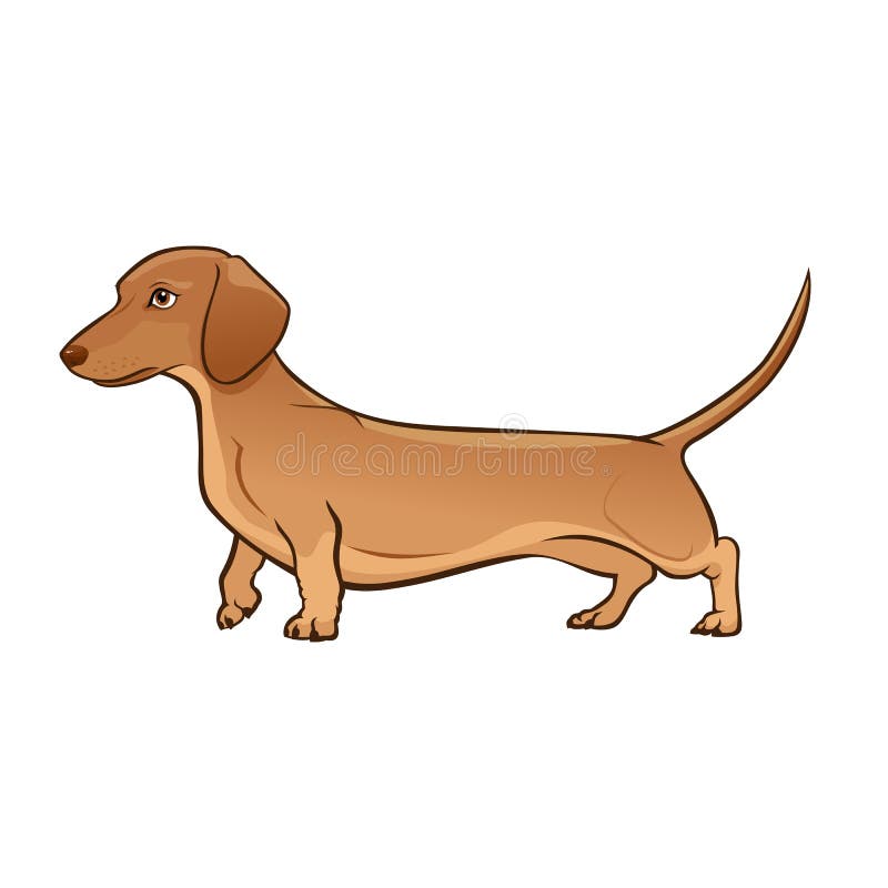 Cartoon Light Brown Dog Stock Illustrations – 426 Cartoon Light Brown ...
