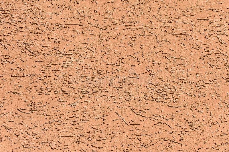 Light Brown Decorative Plaster Abstract Bark Beetle Pattern Wall ...