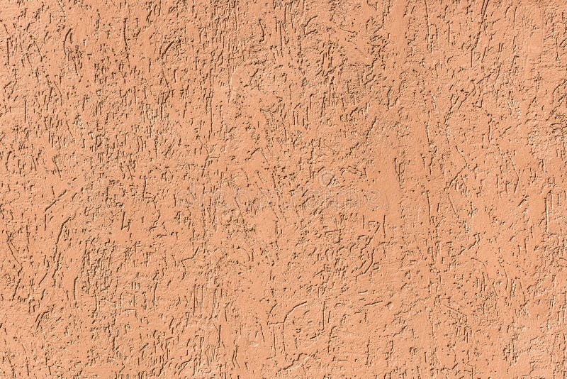 Light Brown Decorative Plaster Abstract Bark Beetle Pattern Wall ...