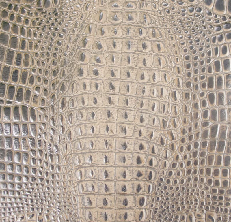 Light Brown Gator Back Leather Texture Stock Photo - Image of aligator ...