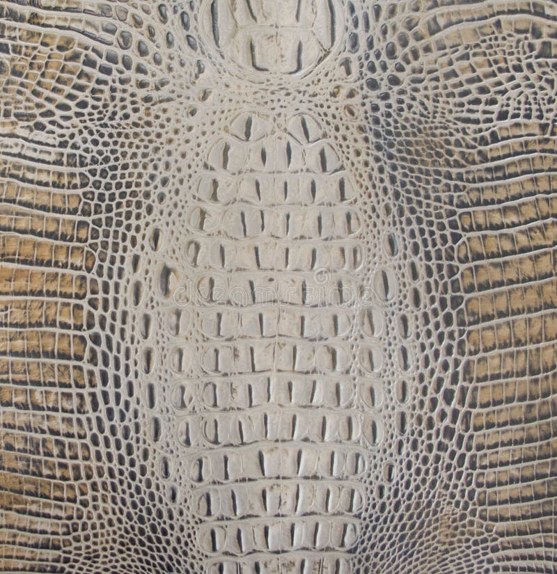 Light Brown Gator Back Leather Texture Stock Photo - Image of aligator ...