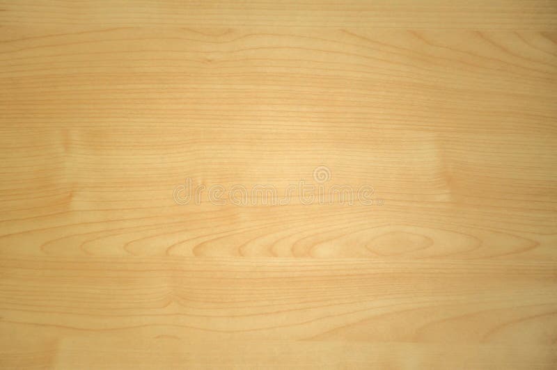 Light Brown Oak Wood Texture Background Stock Image - Image of natural ...
