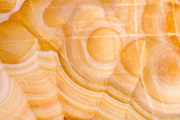 171 Brown Onice Background Stock Photos - Free & Royalty-Free Stock ...