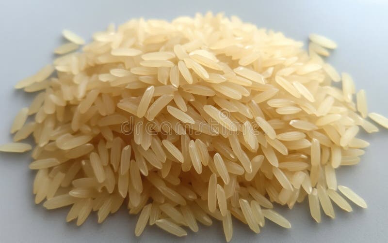 Light Brown Rice Grains Close Up Stock Illustration - Illustration of ...