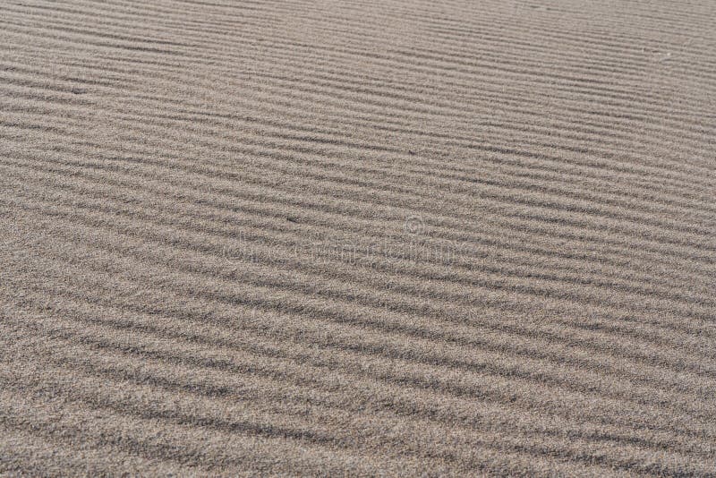 Light Brown Sand Texture Background Close-up. Windy Day on the Beach ...