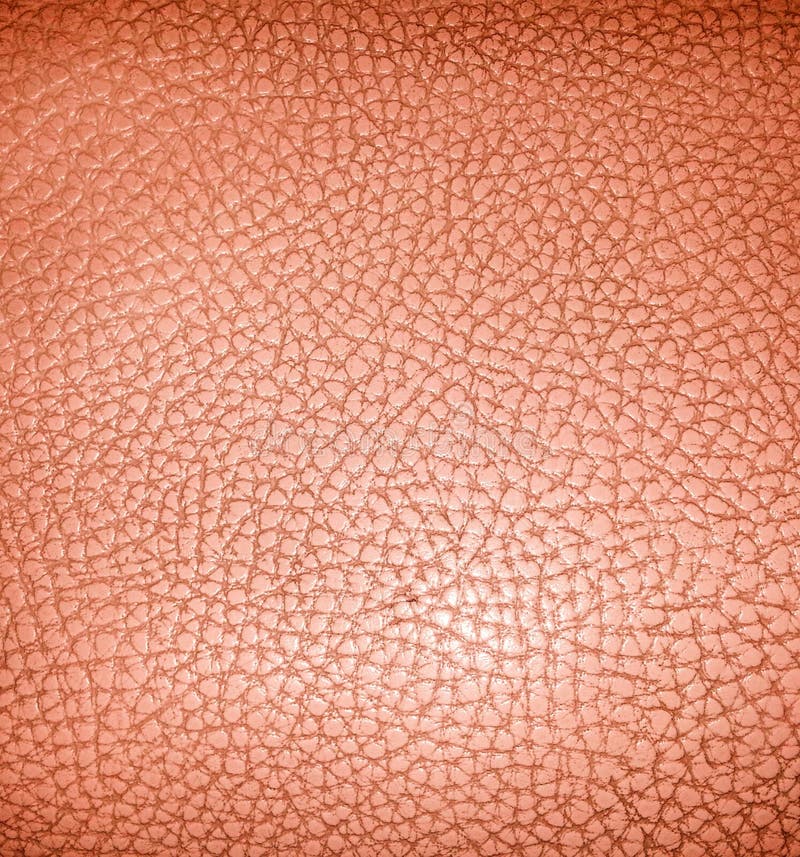 Light brown skin texture stock photo. Image of abstract - 151735124