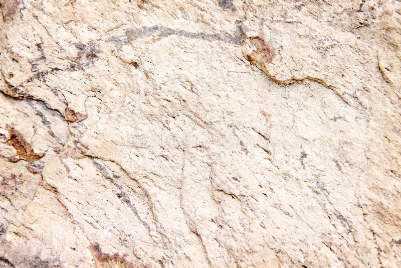 Beautiful Light Brown Stone Texture, Background For Design Stock Photo ...
