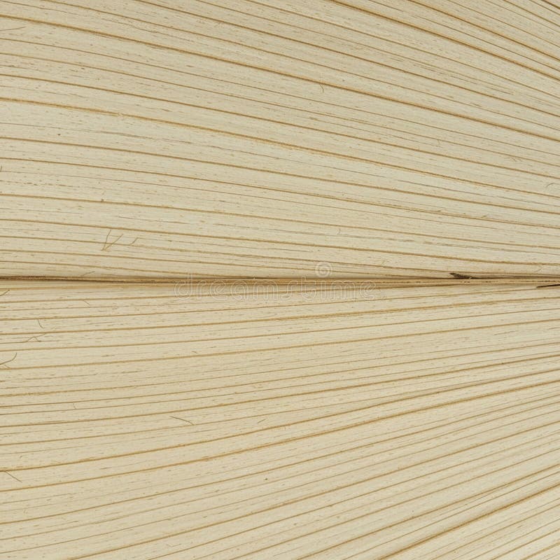 Light Brown Wood Grain Featuring Parallel Lines and Subtle Color ...