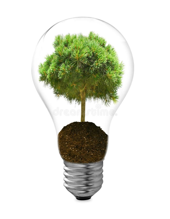Light bulb with tree stock photo. Image of conceptual - 42055932