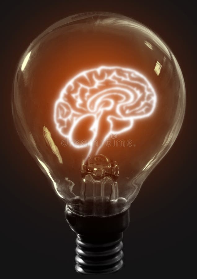 Anatomy of Human Brain Glowing Inside Light Bulb Stock Photo - Image of ...